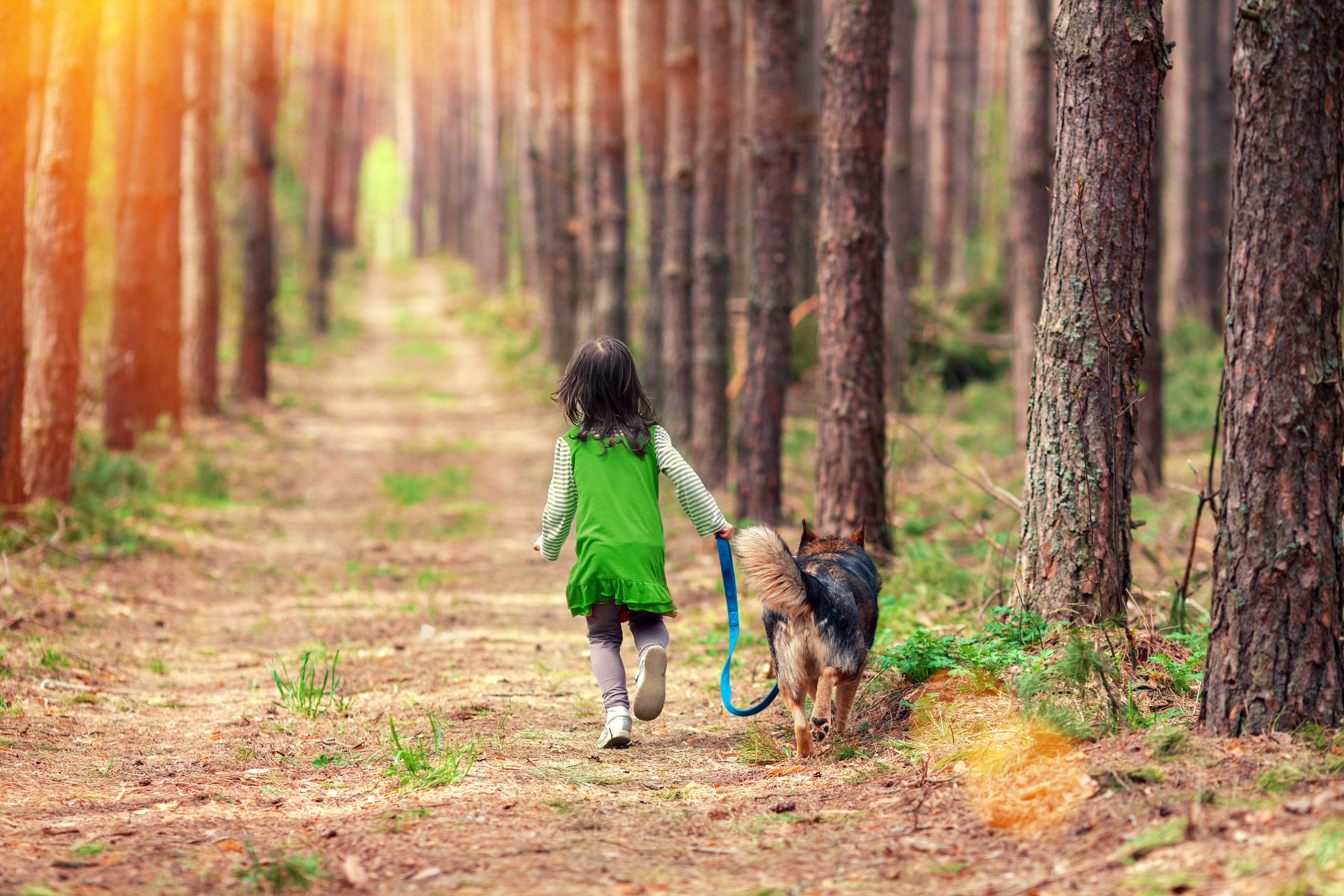 Helping Children Cope with Pet Loss: Emotions, Questions & Involvement