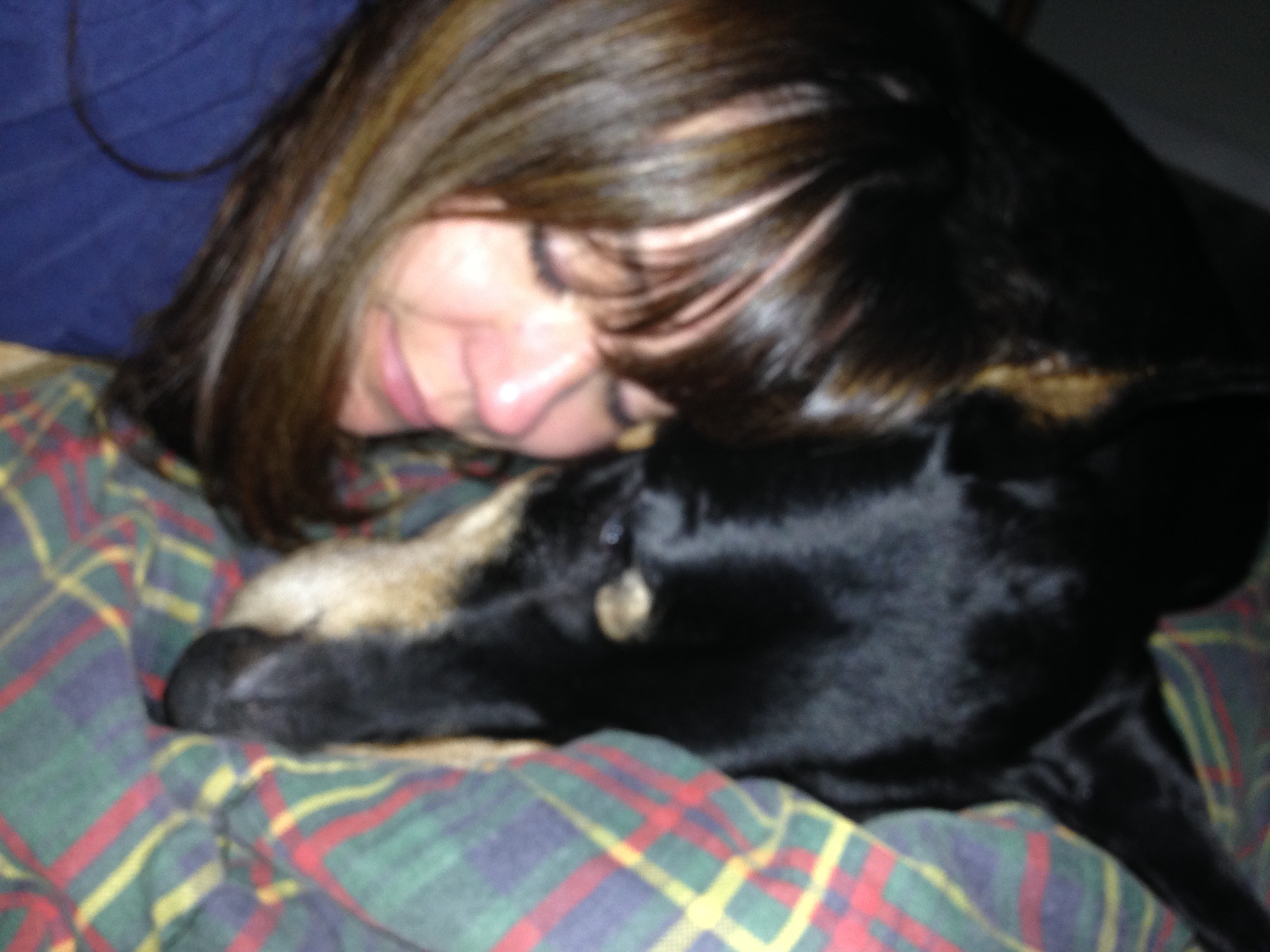 10 Steps to Take If Your Pet Dies at Home: A Compassionate Guide